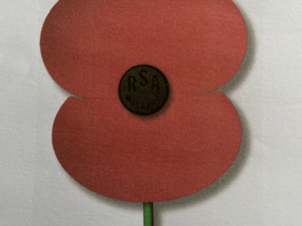 South Taranaki RSA 2024 Poppy Appeal - Givealittle
