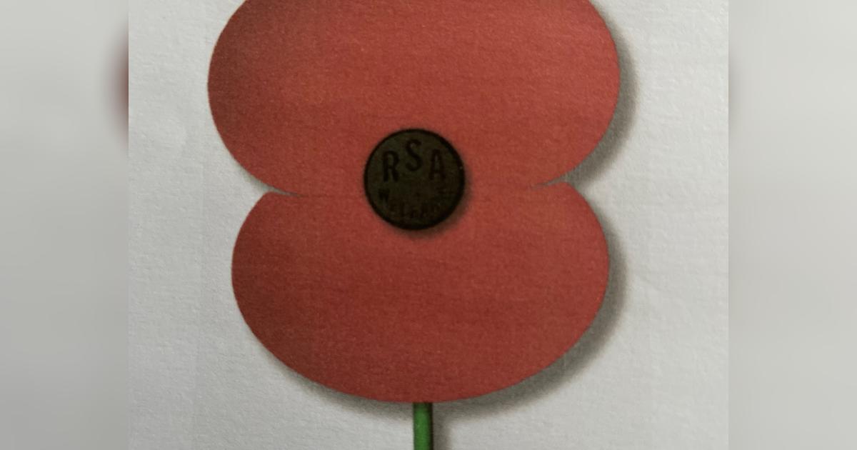 South Taranaki RSA 2024 Poppy Appeal - Givealittle