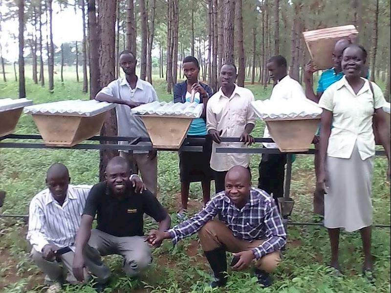 Raising Funds for Community Bee Keeping Project in Uganda - Givealittle