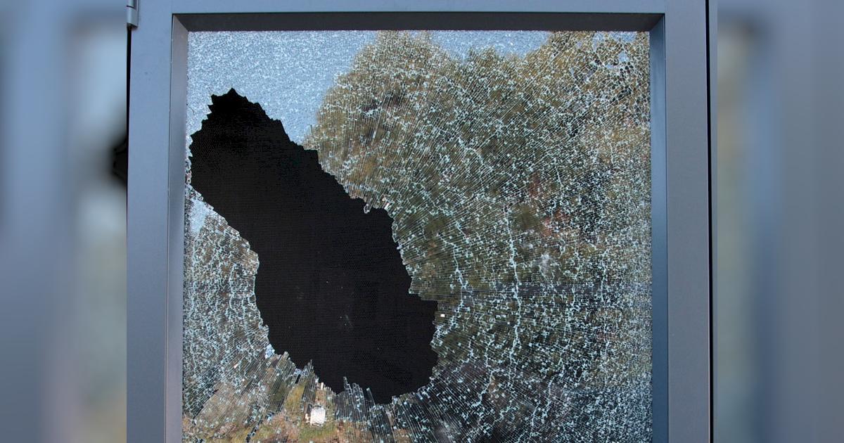 Help Kawerau SPCA install security cameras to protect their animals ...
