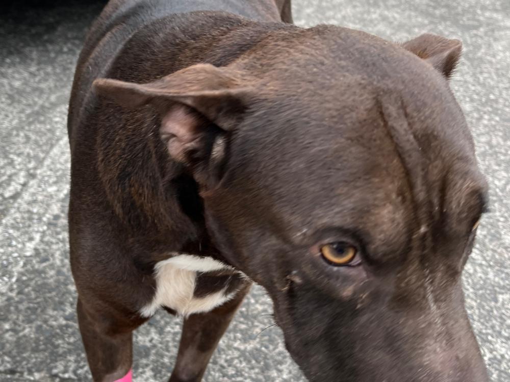 Help TeAra after having an emergency operation to remove her still born ...