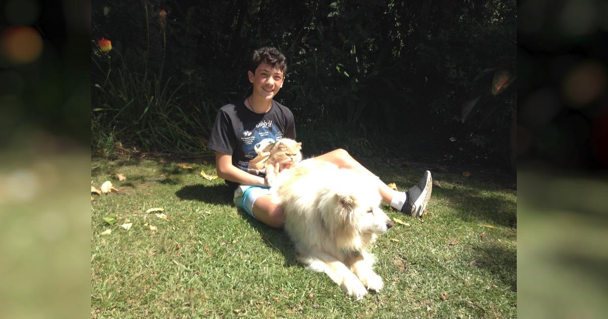 Help Me To Study To Save Lives - Givealittle