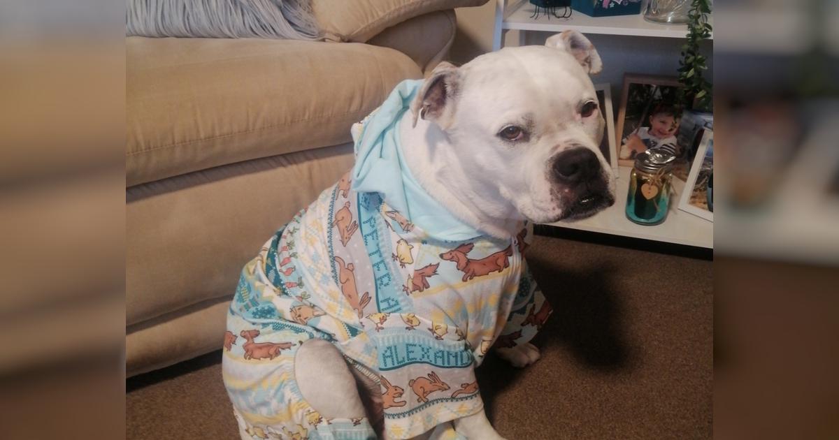 My baby needs chemo treatment for cancer. - Givealittle