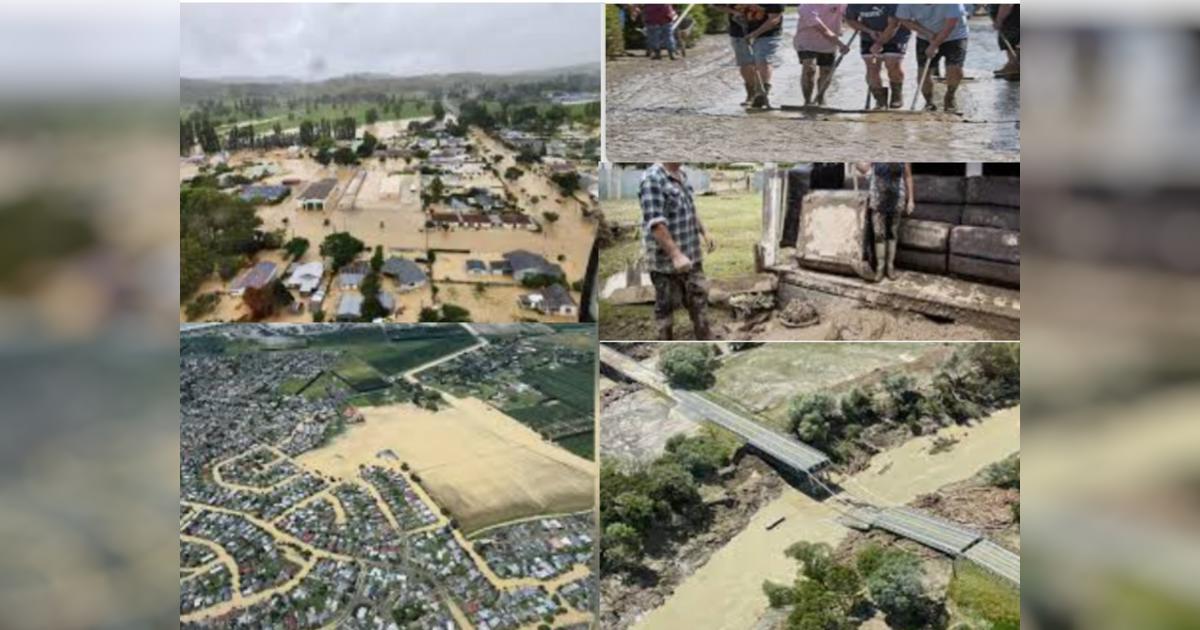 Show your care for Terra team members recovering from Cyclone Gabrielle ...