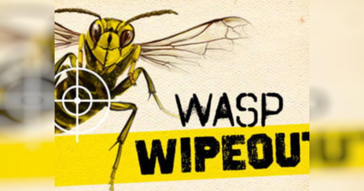 Wasp Wipeout Summer 2024/2025 - Givealittle