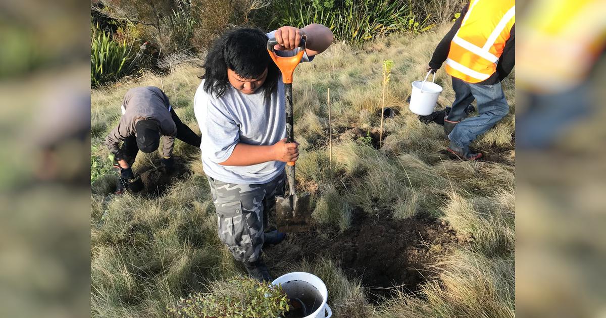 Tamatea High School Matariki Legacy Project - Givealittle