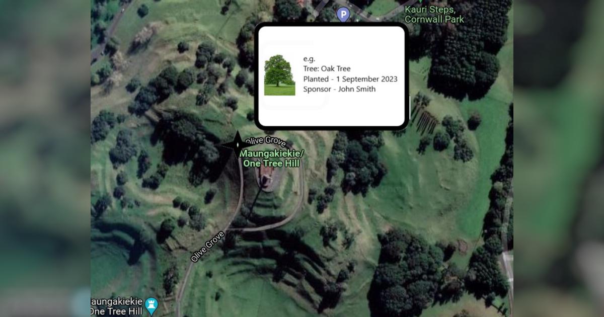Help build our Track a Tree Website - Website where we can all help ...
