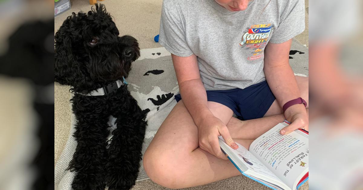 Woof Woof, please help me so I can help children to read, write and ...