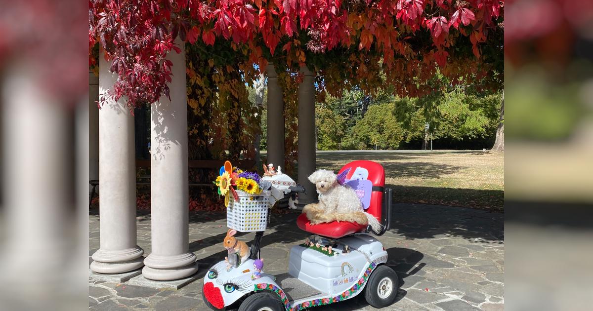 My three decade mobility scooter died on me - Givealittle