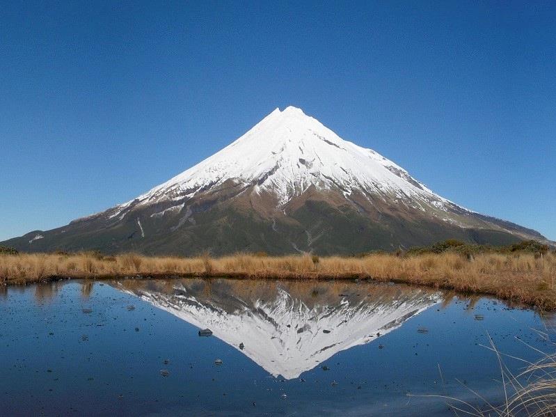 Te Whenua Tōmuri Trust - Givealittle