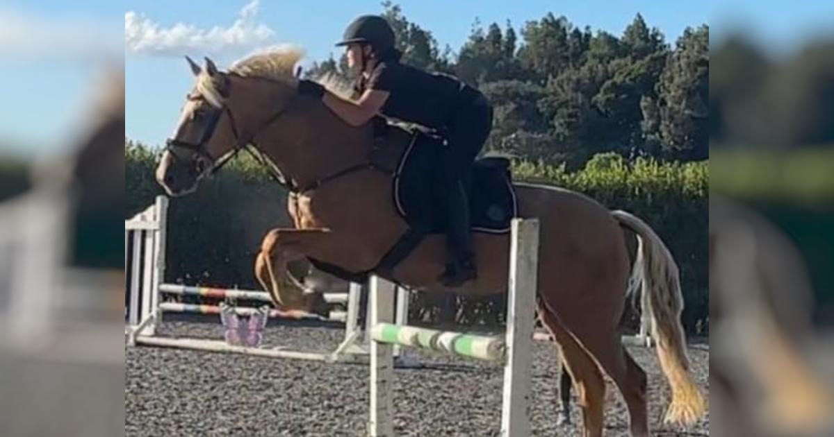 Addi goes to Paris - Givealittle