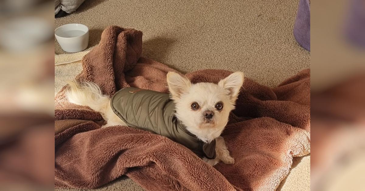 Giovanni needs your help for an urgent operation. - Givealittle