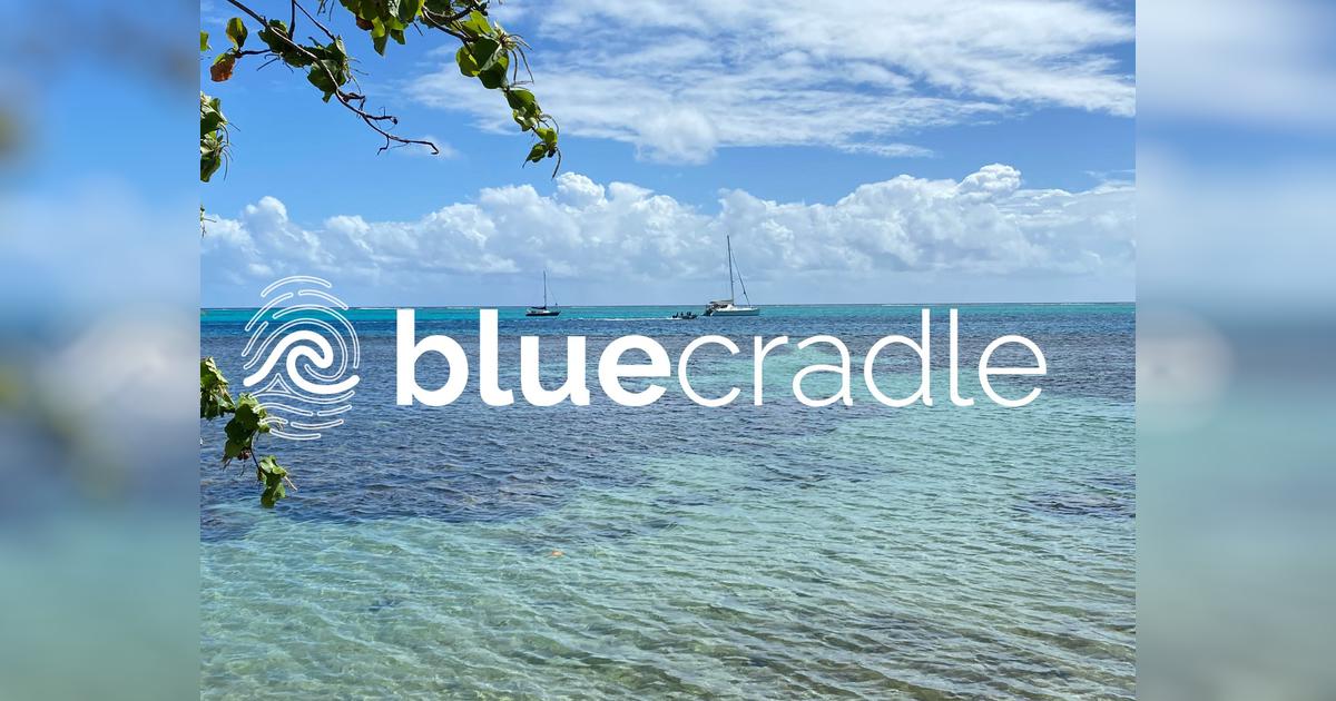 Blue Cradle Foundation - Givealittle