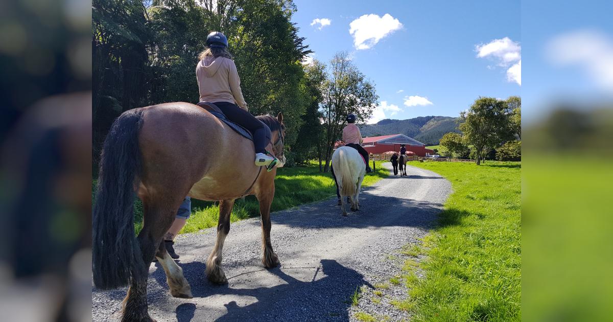 Wellington Riding for the Disabled - Givealittle