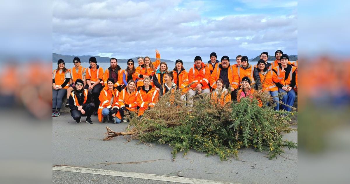 Stantec Lower North Island (Wellington + Petone) - Givealittle