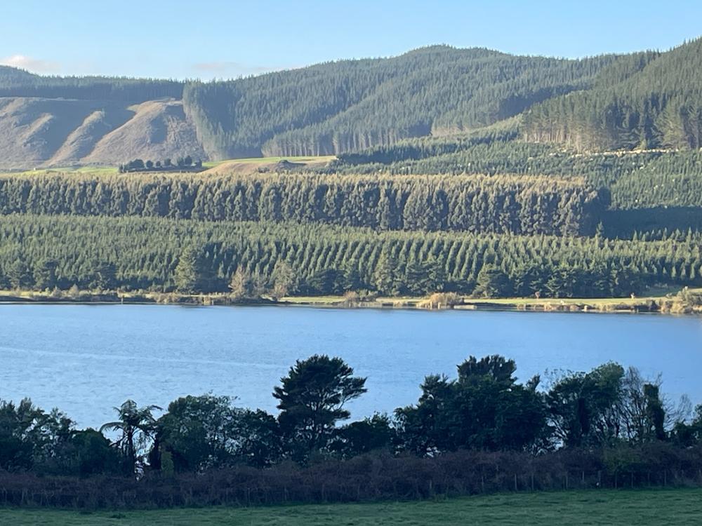 Help save Whakamaru Camping Reserve - Givealittle