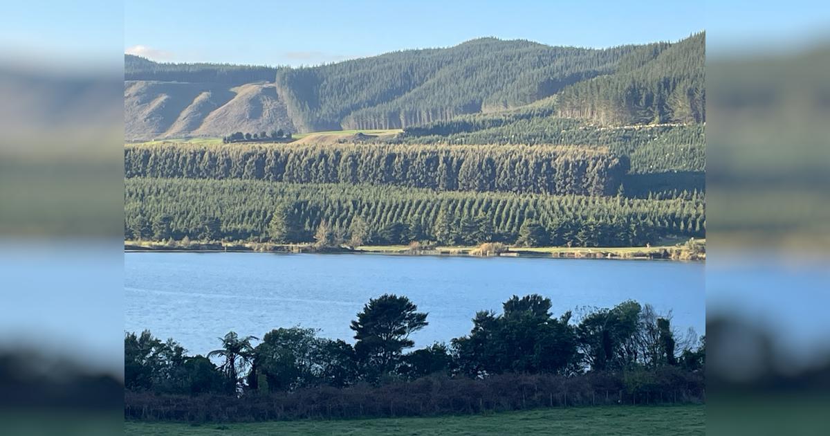 Help save Whakamaru Camping Reserve - Givealittle
