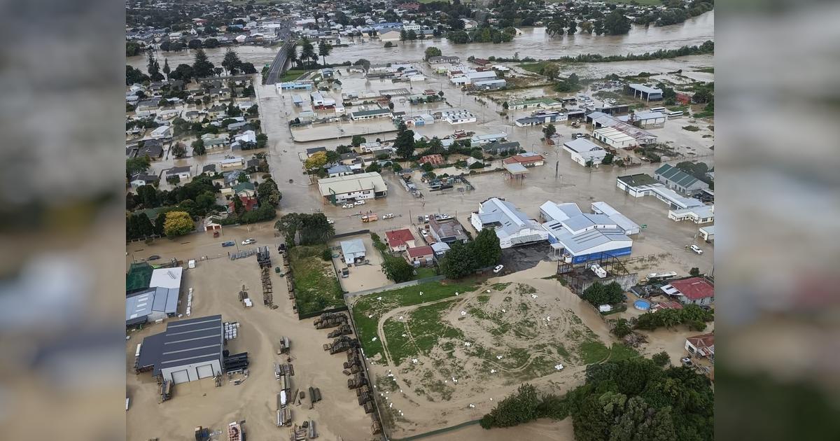 Help Lynn Irving help the animals of Wairoa - Givealittle