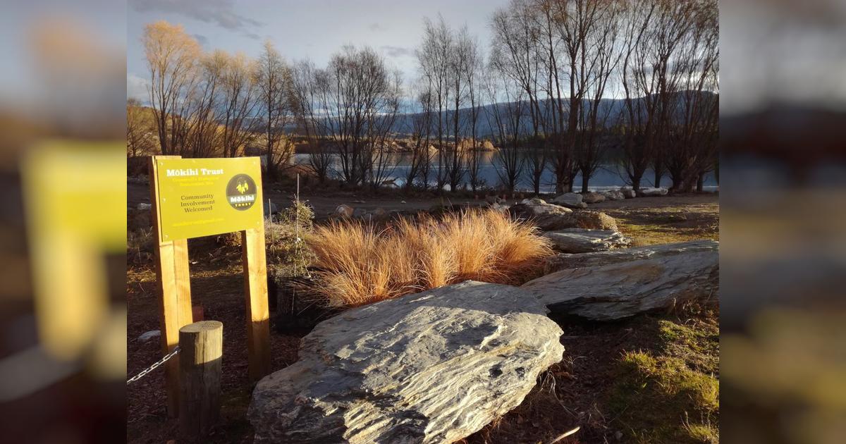 Mokihi Reforestation Trust - Givealittle