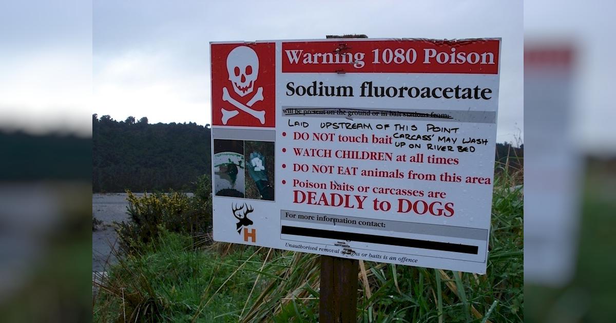 Te Whare o te Kaitiaki Ngahere [Guardians of the Forest] stop 1080 ...