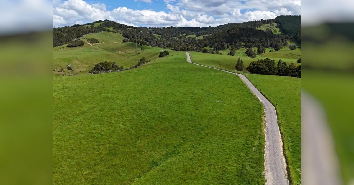 Help Te Honihoni to purchase this whenua - Givealittle