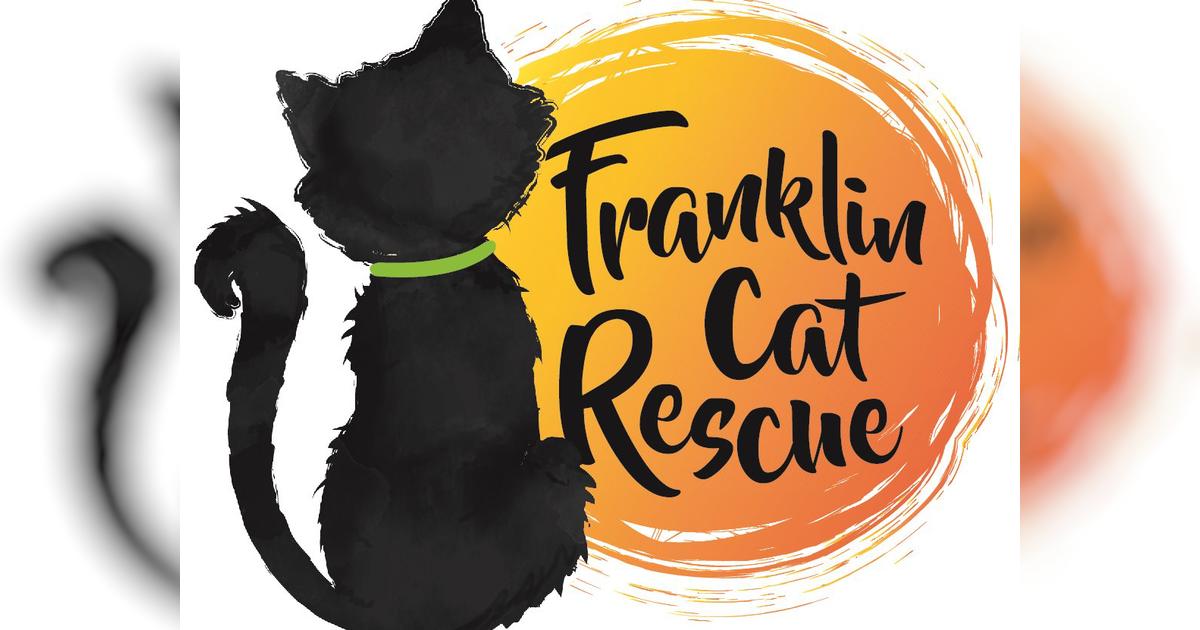 Franklin Cat Rescue - Givealittle