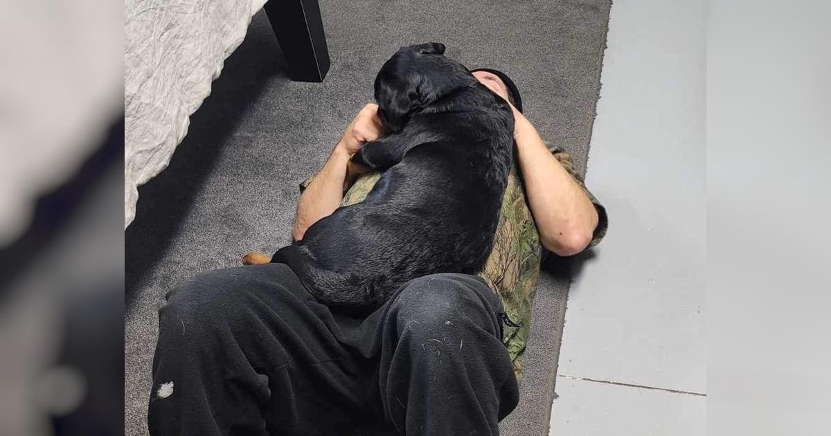 Hello friends my name is Sharn - Givealittle