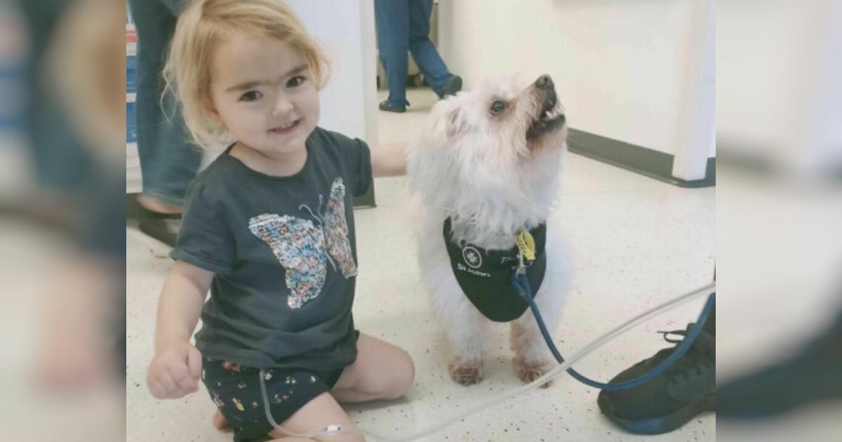 Princess Ella's Journey - Givealittle