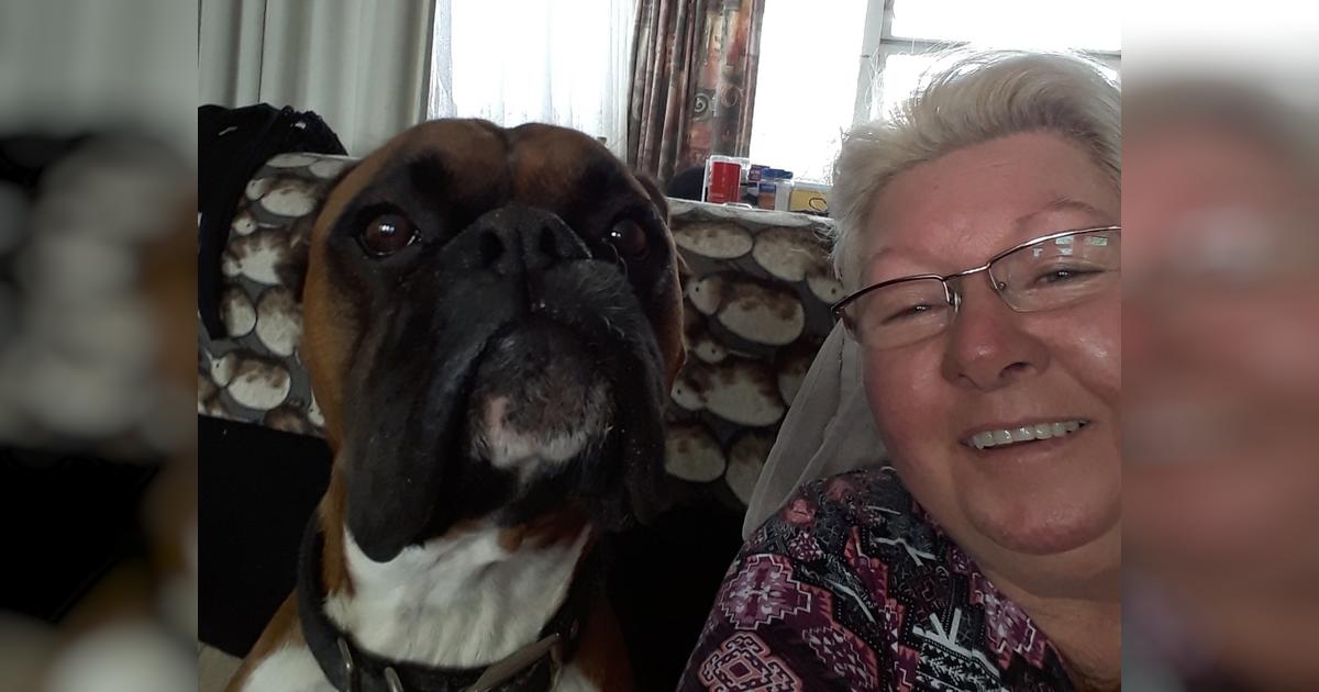 Chester my Boxer Please help - Givealittle