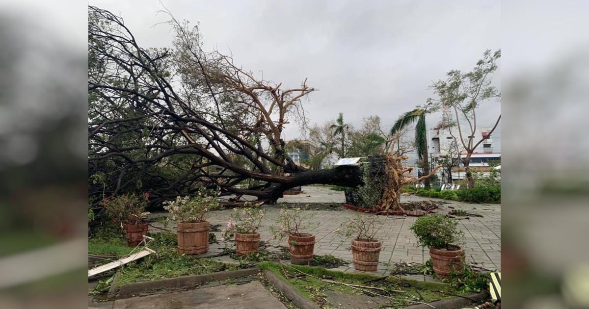 Help Rebuild our Homes after Super Typhoon Rai - Givealittle