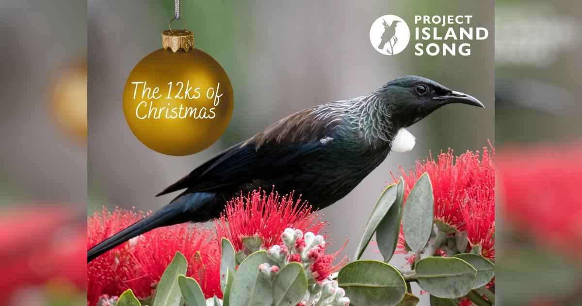 Laura & Alex are completing Project Island Song’s 12ks of Christmas ...