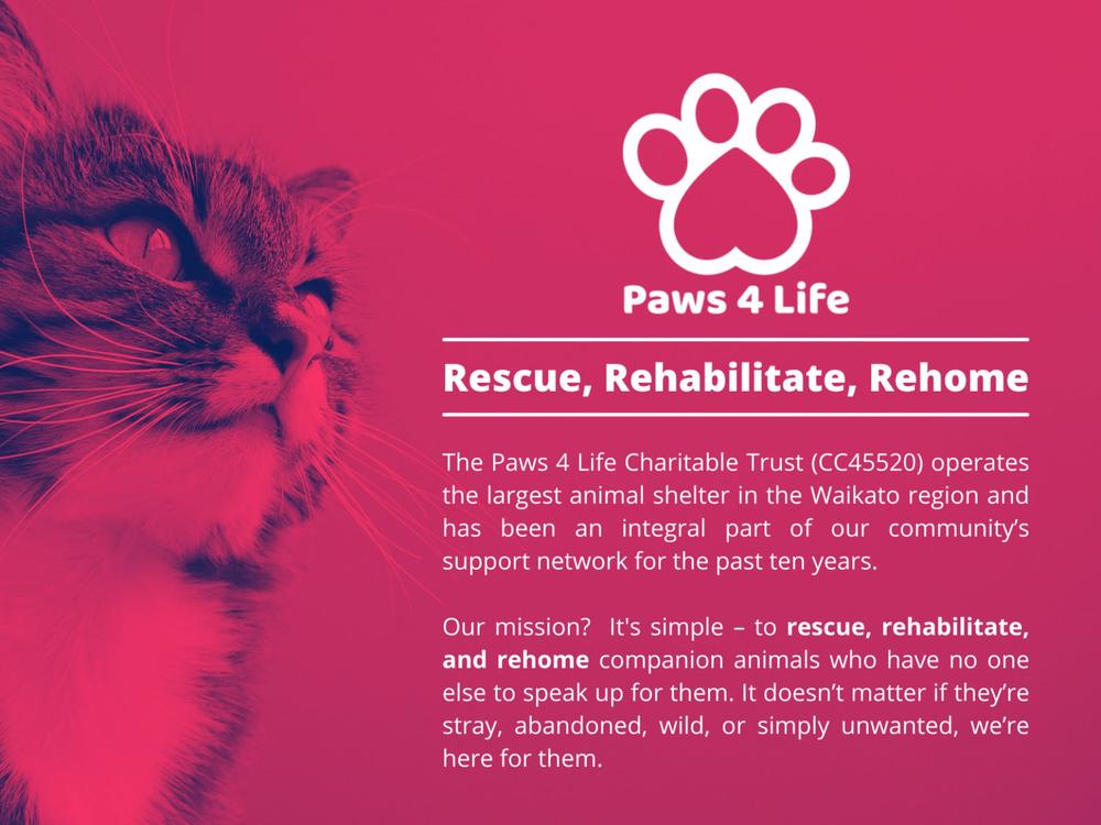 Paws 4 Life Charitable Trust - Givealittle
