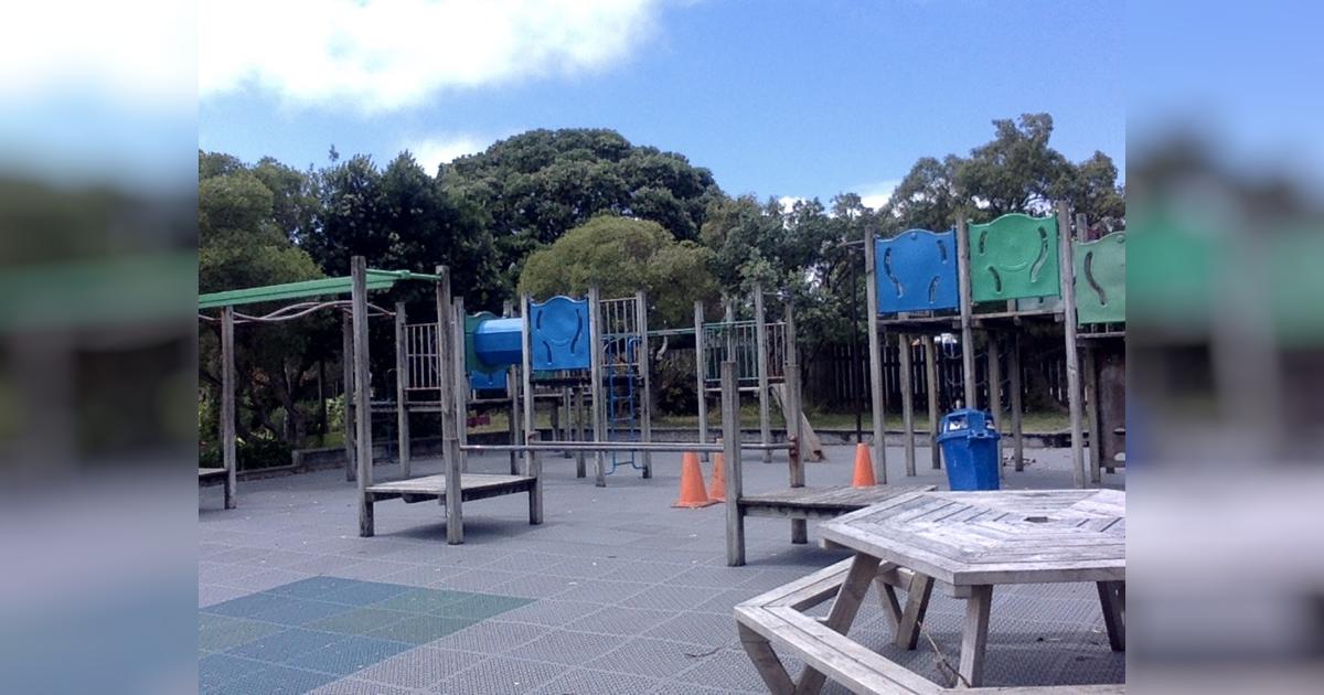 New Playground for Petone Central - Givealittle