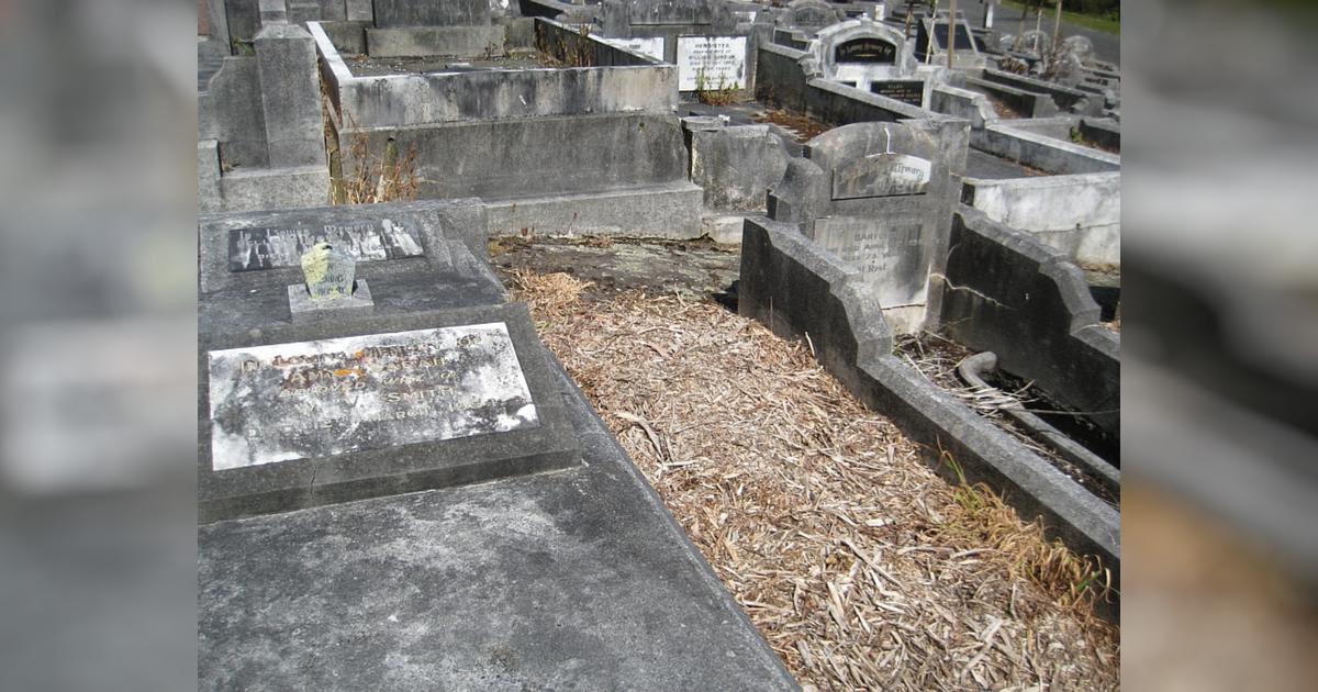 A Memorial Plaque for Ann Harrison Hill nee Blackith - Givealittle