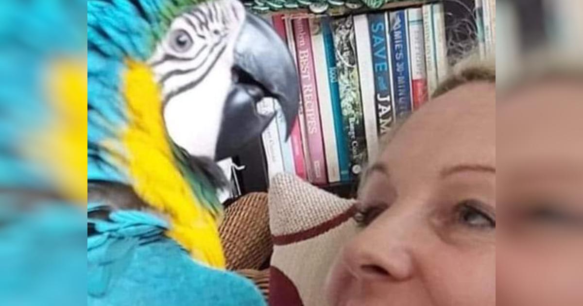 Bring Pablo Home - Givealittle