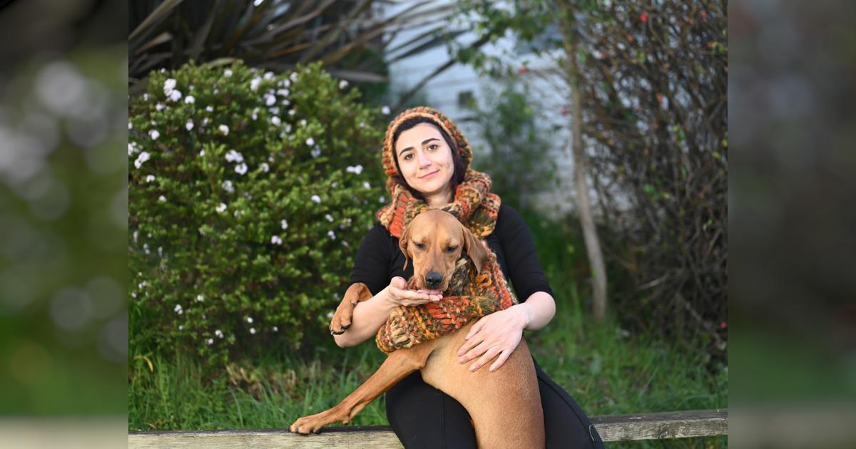 Toss the Boss - Mona Tavakoli - Givealittle