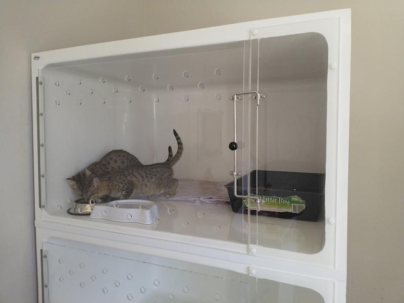 Outpawed Iso Cages - Givealittle