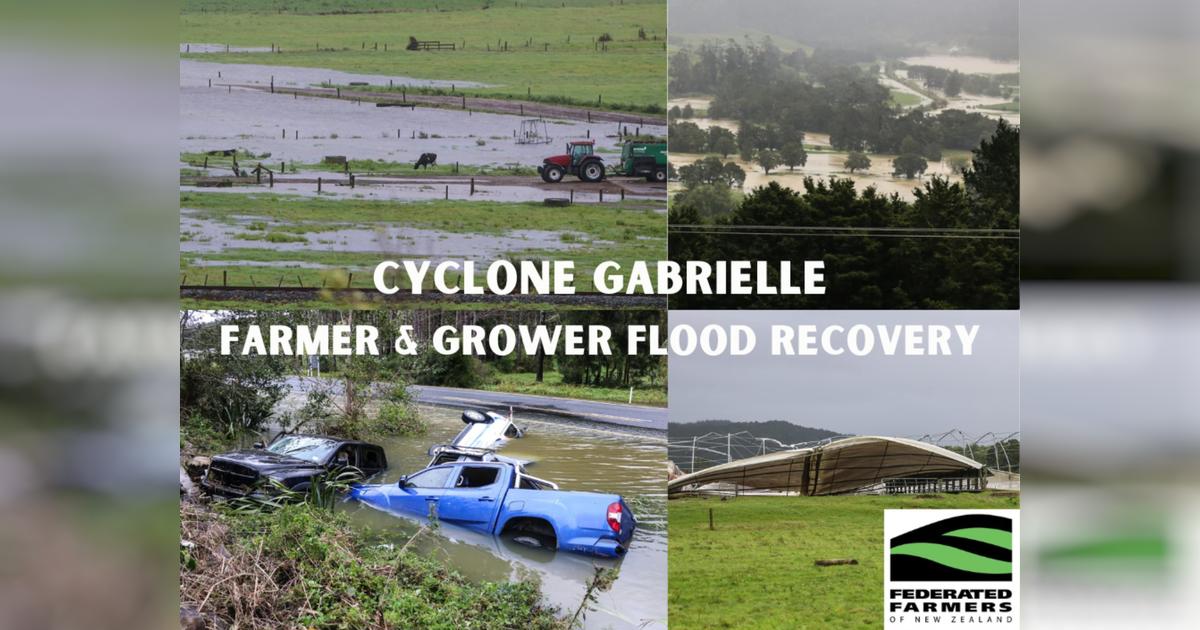 Cyclone Gabrielle - Financial Flood Recovery Assistance for Farmers ...