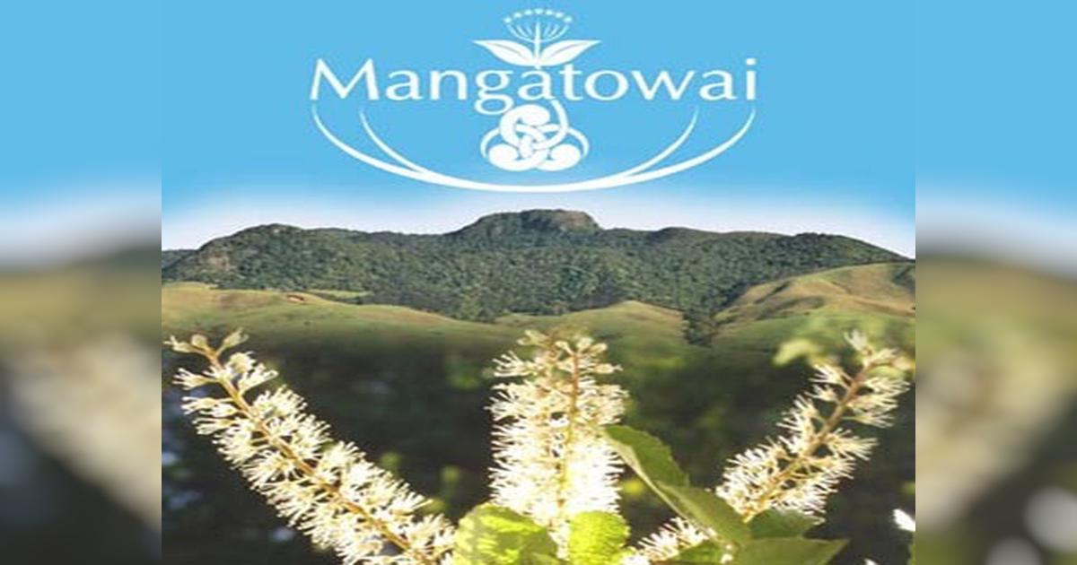 Help us re-build Mangatowai marae - Givealittle
