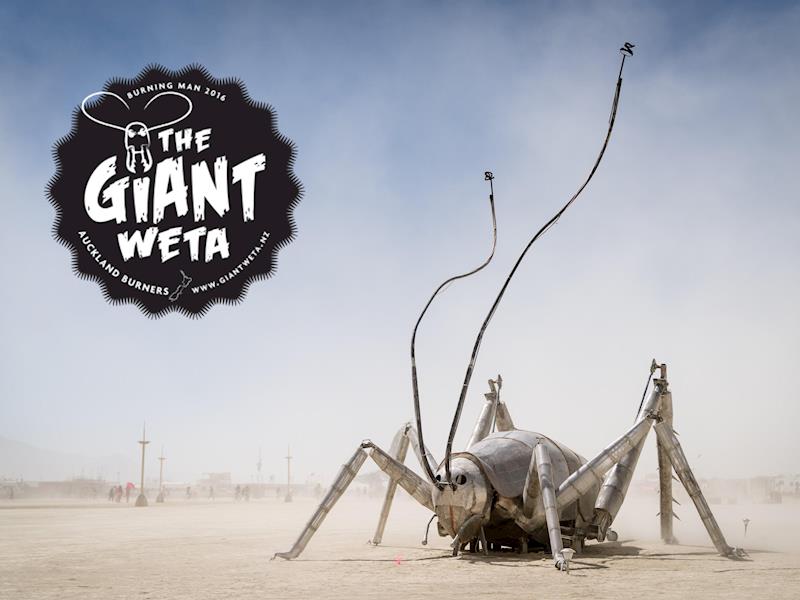 The Giant Weta is coming to Kiwiburn! - Givealittle