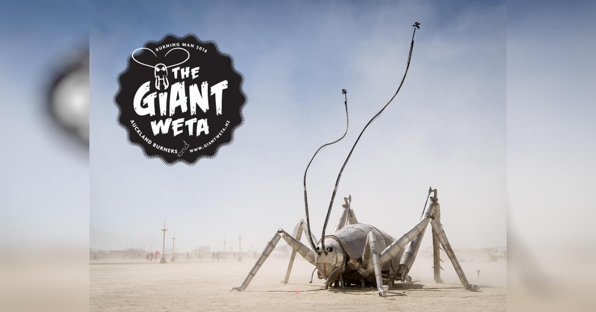 The Giant Weta is coming to Kiwiburn! - Givealittle