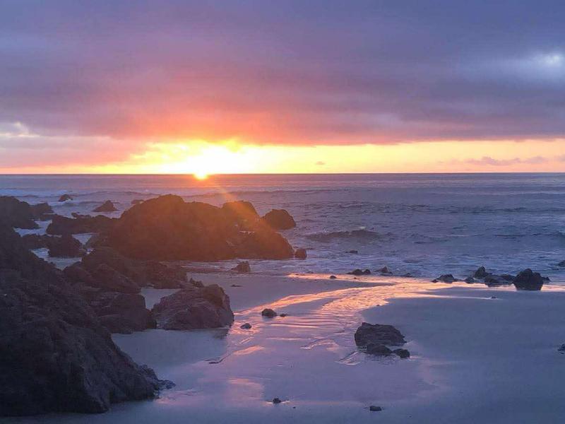 Help Us Bring Comfort to Our Friend in Her Darkest Hour - Questions ...