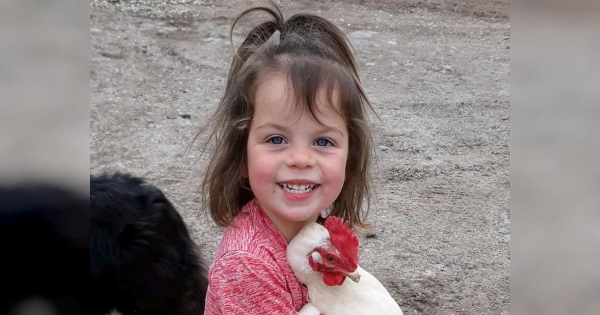 Princess Esme's Journey - Givealittle