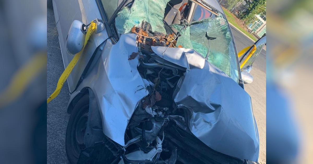 Car vs Cow for Front Line Worker - Givealittle