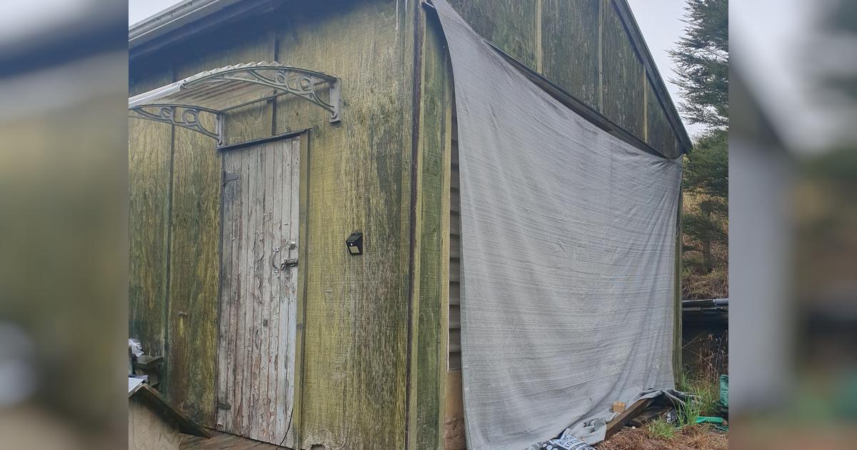 Need Help to live in healthy living conditions - Givealittle