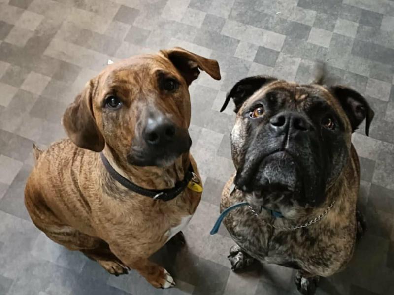 Gary needs knees - Updates - Givealittle