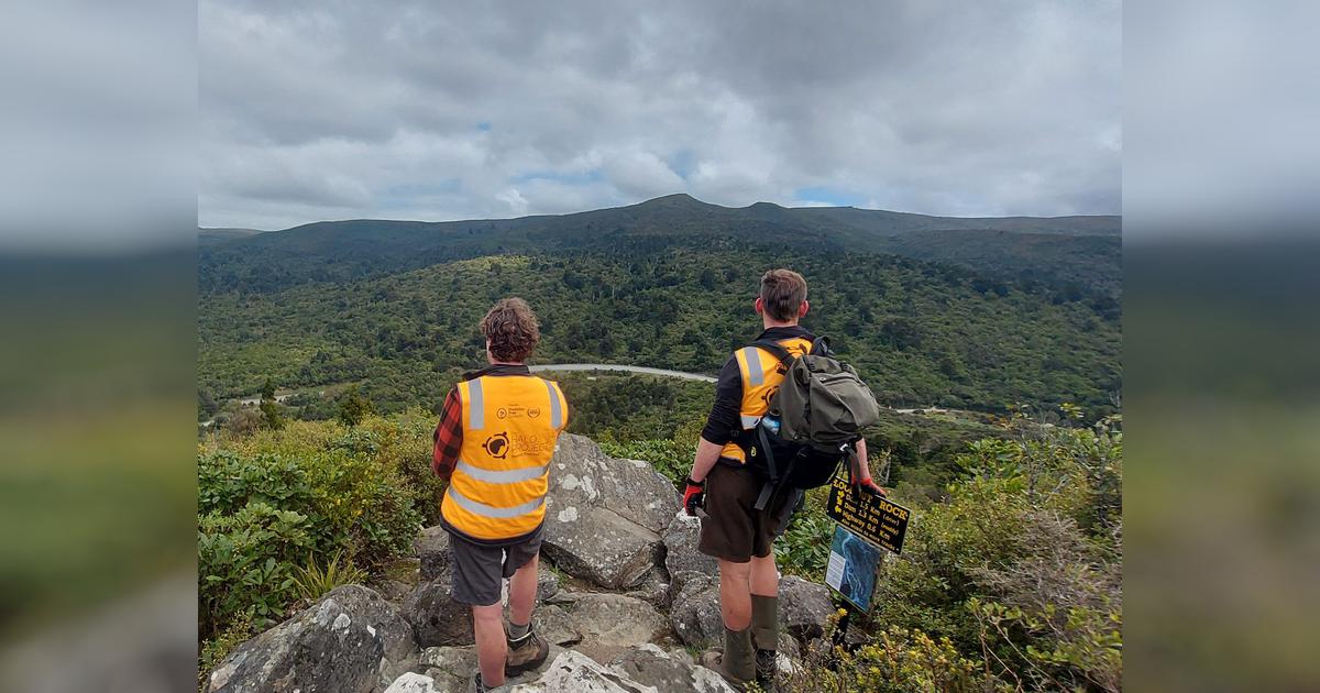 The Halo Project - Helping Otepoti Dunedin become Predator Free by 2050 ...