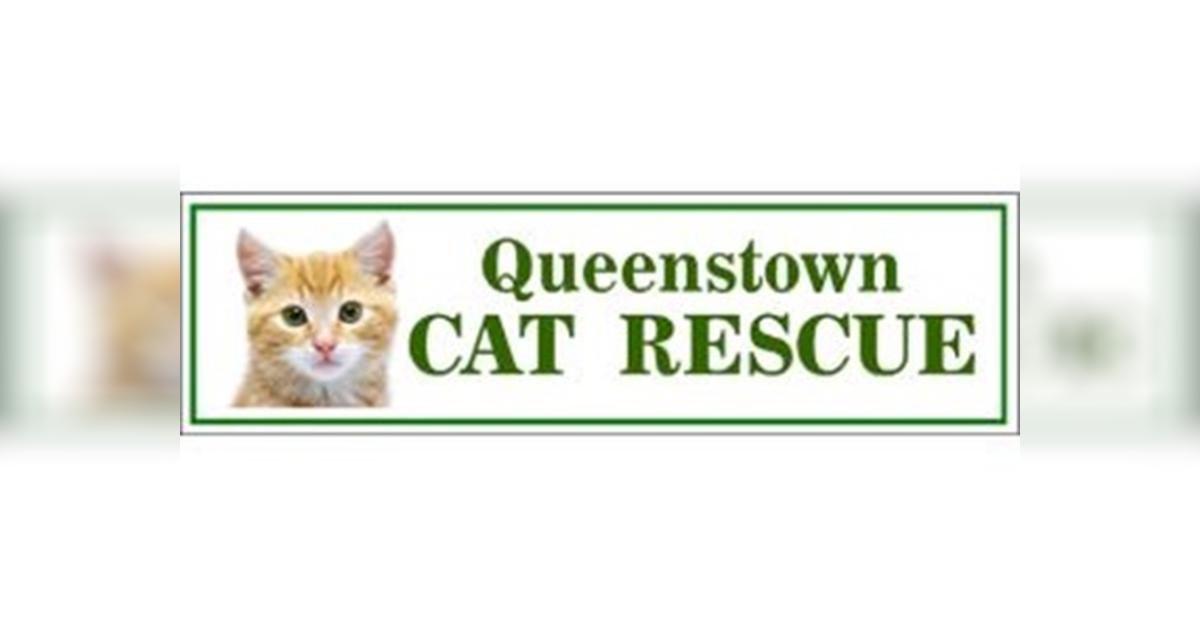 Queenstown Cat Rescue - Givealittle