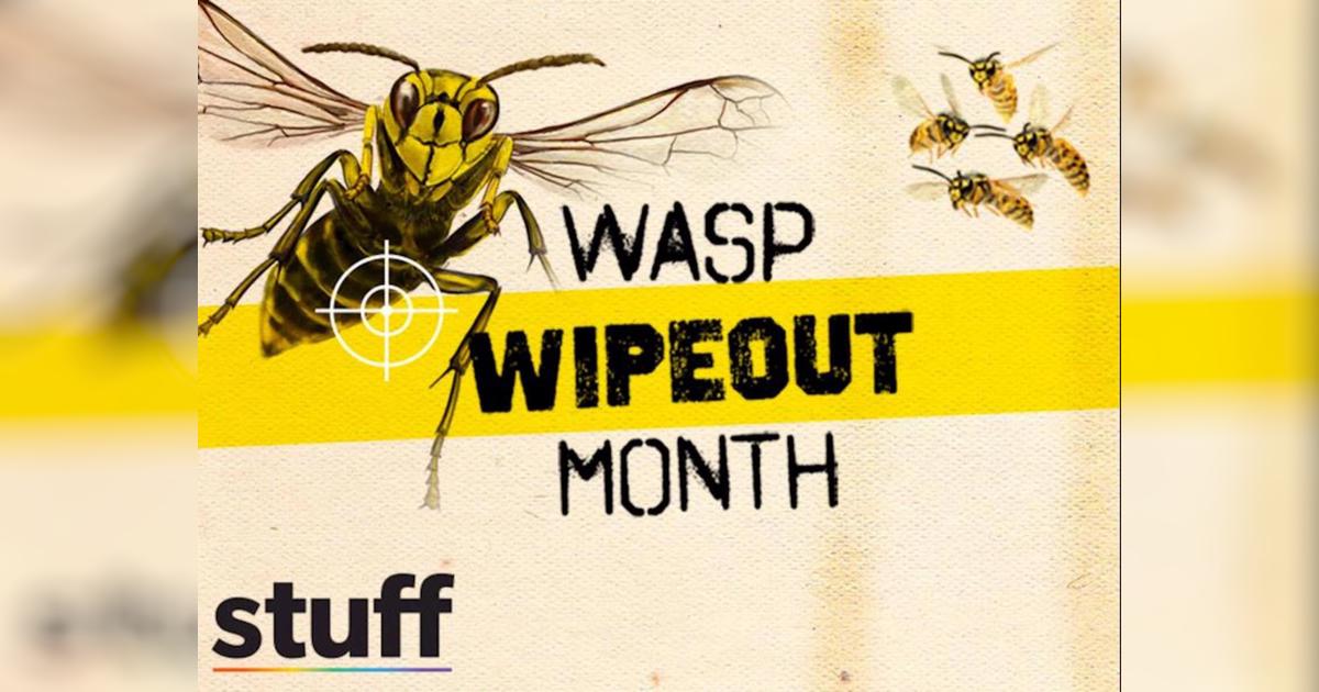 Wasp Wipeout 2023/2024 - Givealittle