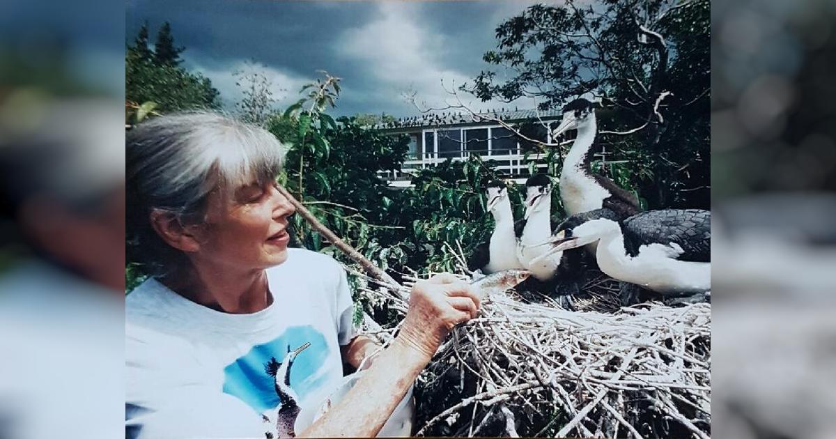 Pam Howlett's Cormorant Sanctuary Sign - Givealittle